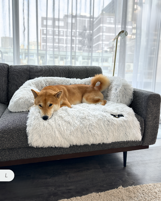 FreshChill - Protecteur de Meubles Rafraichissant Déhoussable – Premium ...