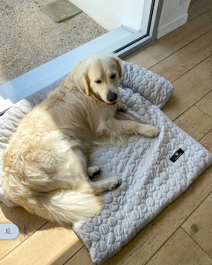 FreshChill - Protecteur de Meubles Rafraichissant Déhoussable – Premium ...