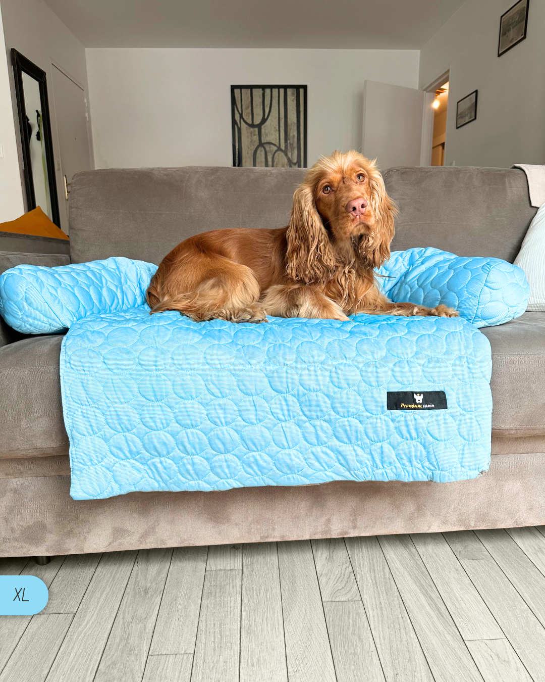 FreshChill - Protecteur de Meubles Rafraichissant Déhoussable – Premium ...